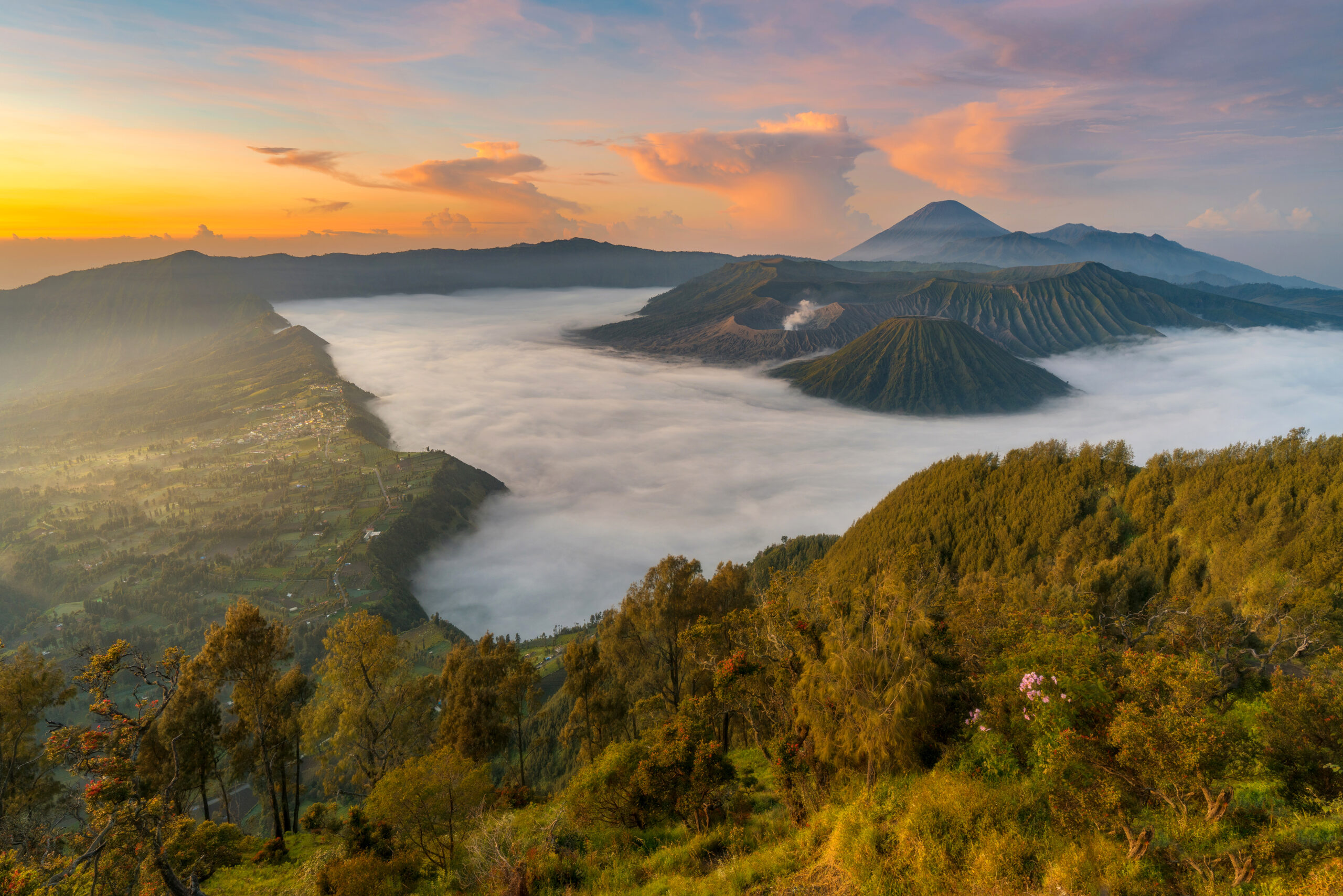 24Travel Bromo Tour & Travel | 40+ Options Mount Bromo Tours